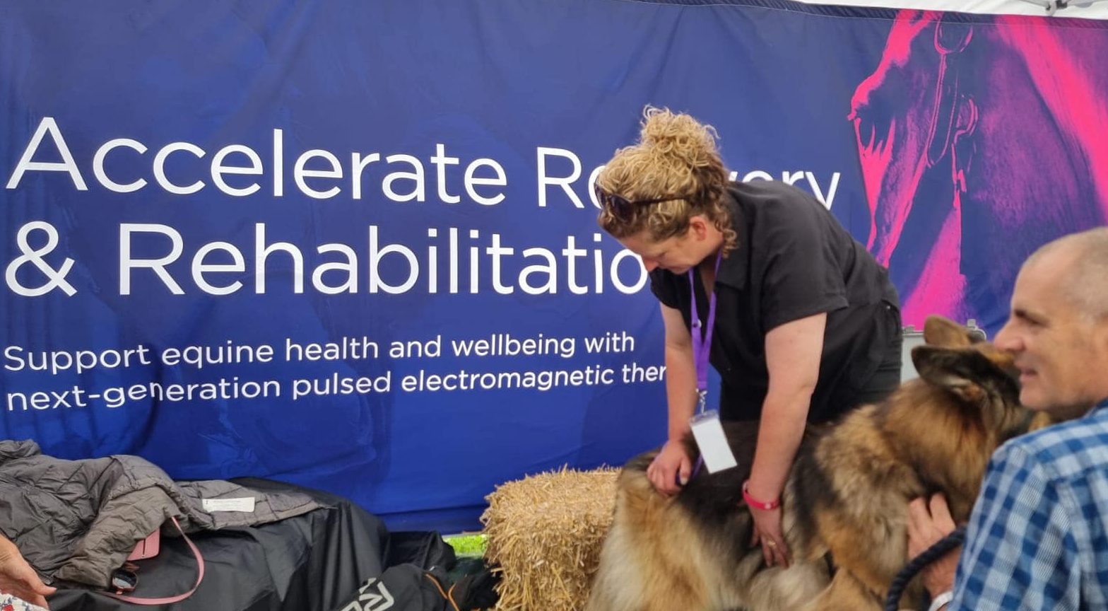 Hofmag PEMF Therapy for Dogs & Horses | Hampshire