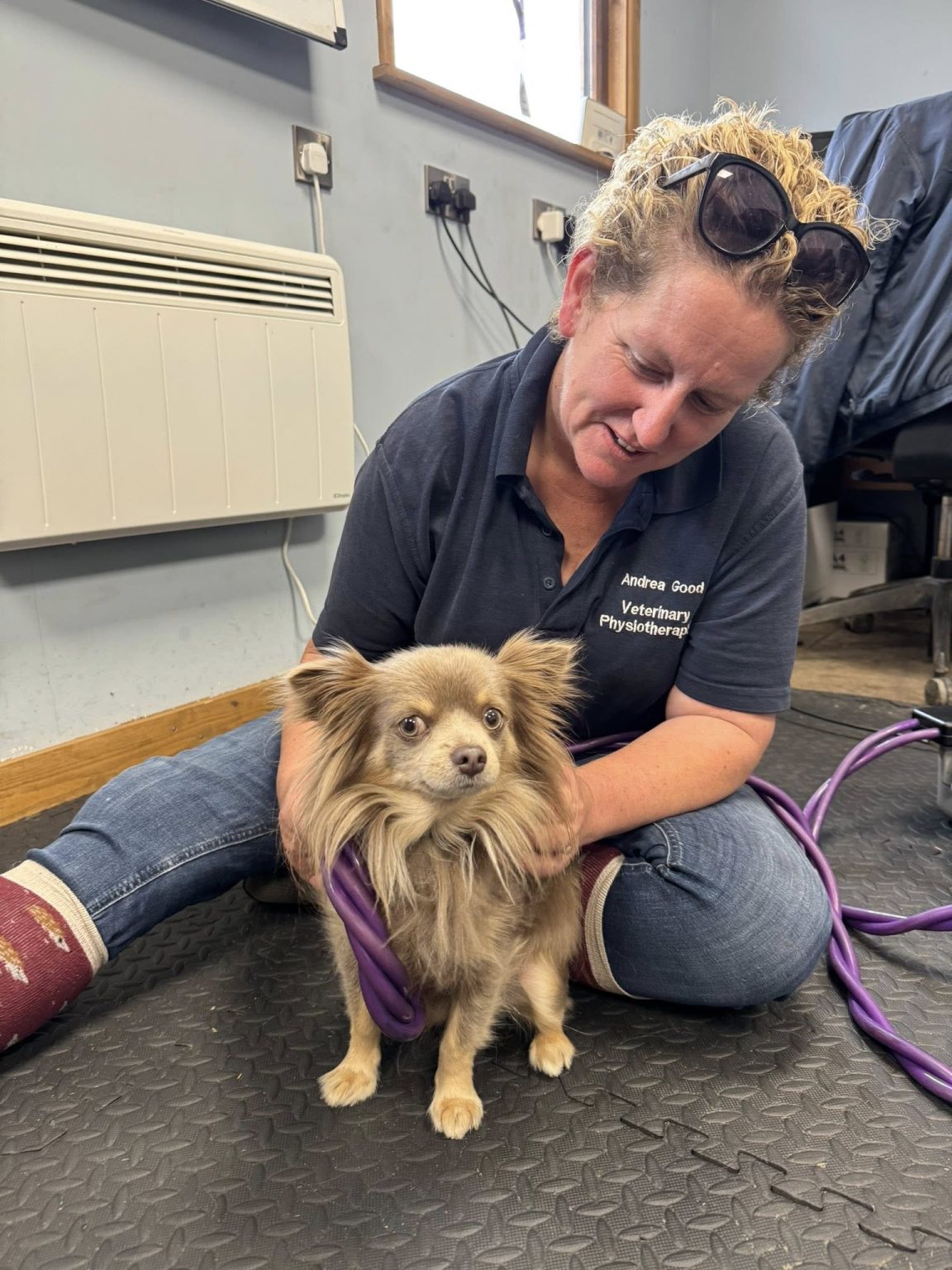 Veterinary Physiotherapist | Canine, Equine & Hofmag PEMF